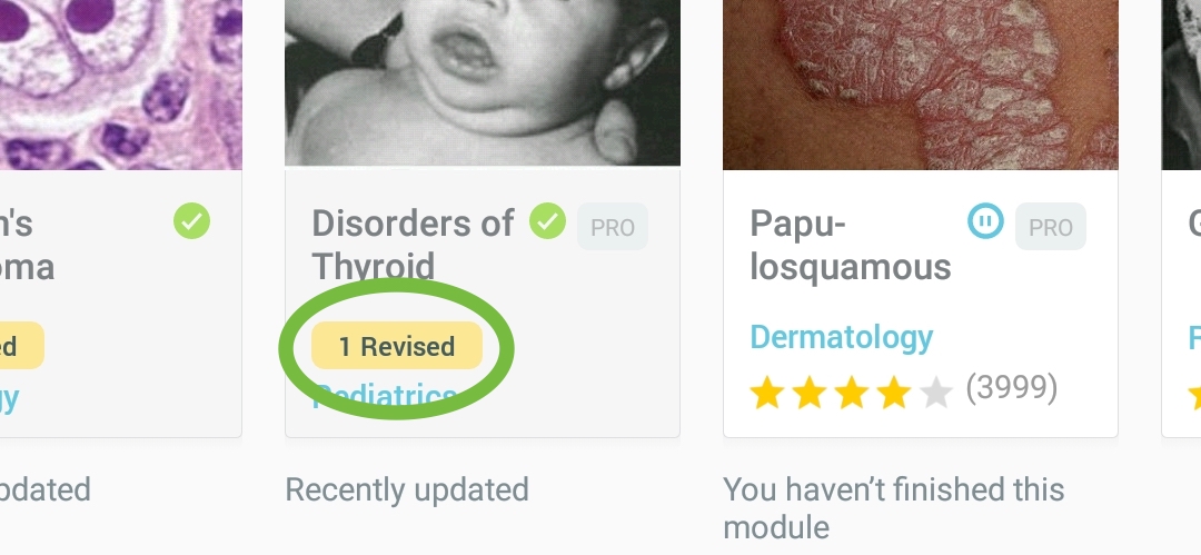 Introducing New & Revised Tags - Now get to know what is updated! - Marrow