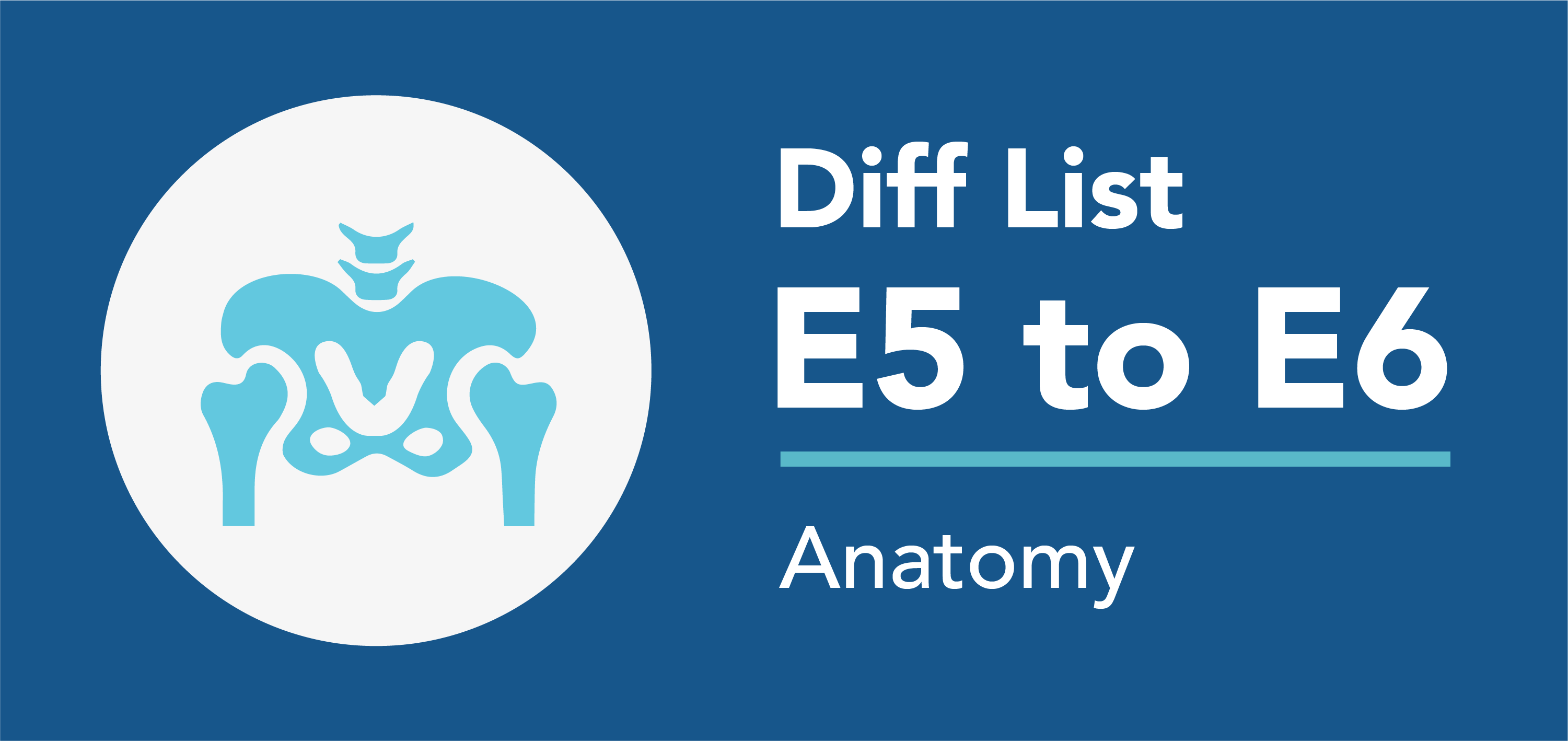 Anatomy E5 to E6 Diff List- List of all updates in E6 - Marrow