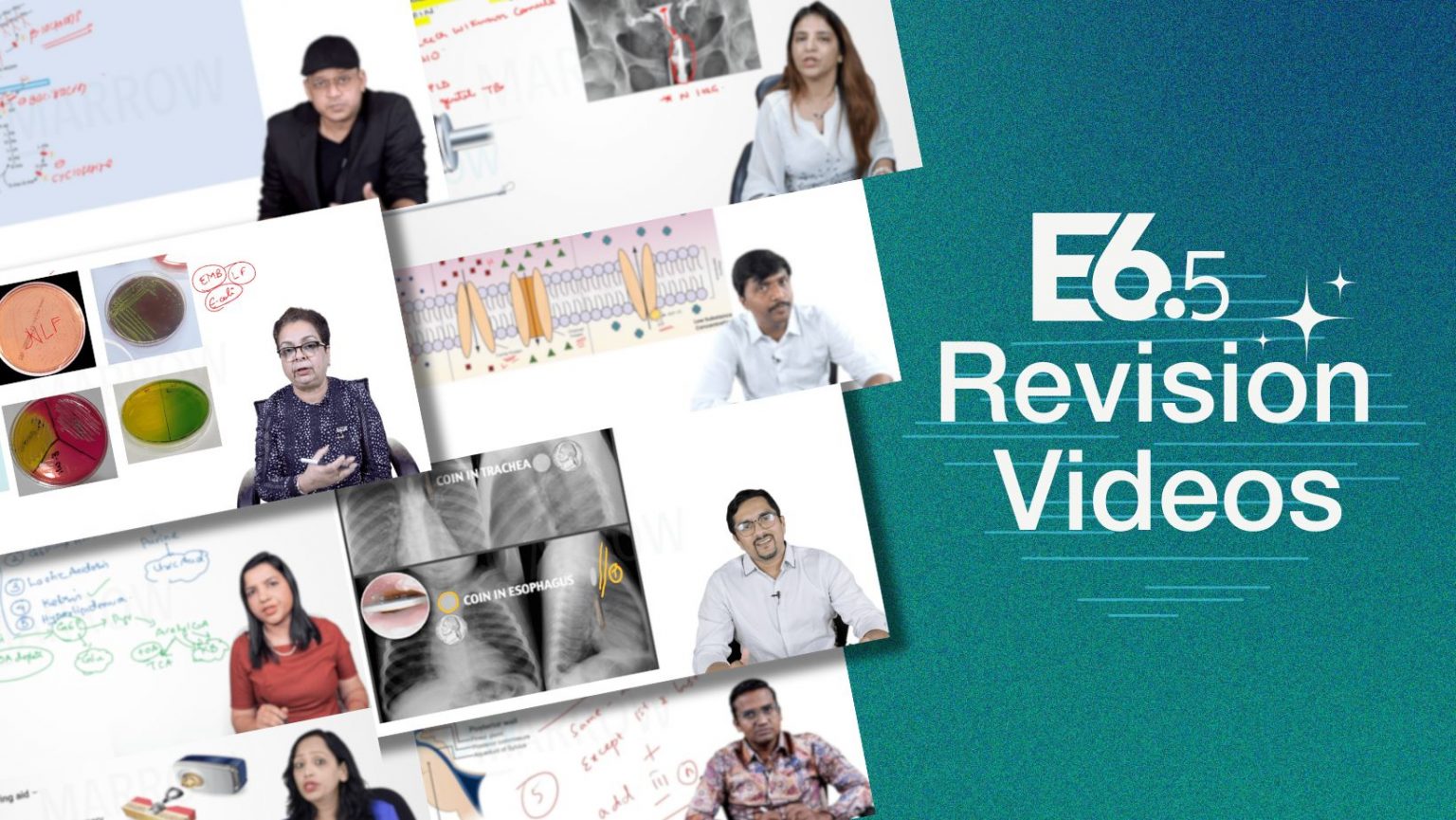 E6.5 Revision Videos - Available in the Marrow app - Marrow