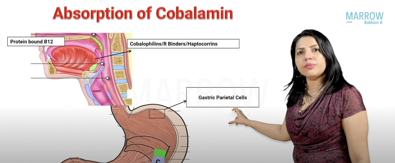 Marrow for First Years - Know your faculty - Marrow