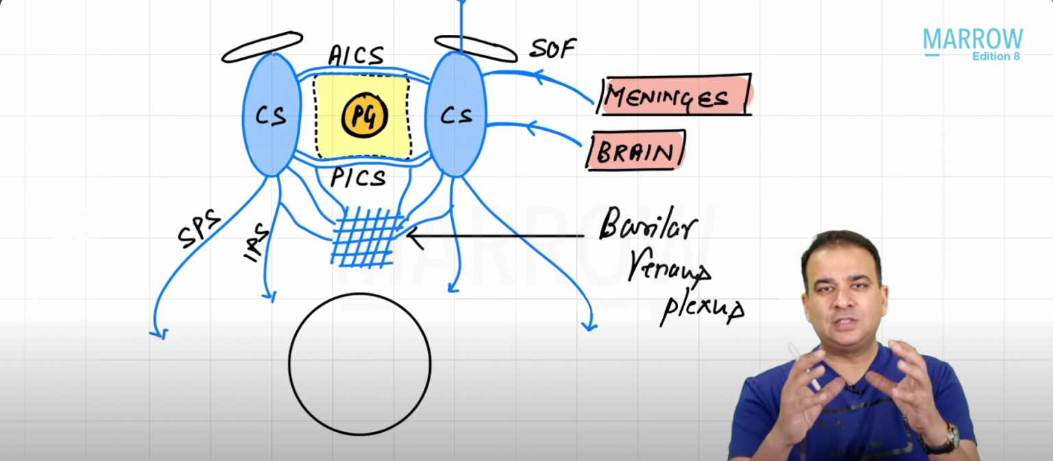 Marrow for First Years - Know your faculty - Marrow